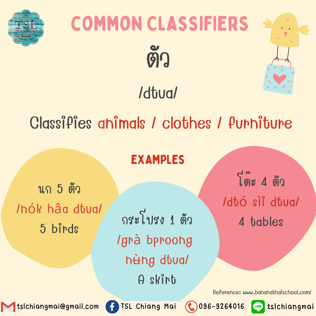 Classifier TSL Chiang Mai- Thai as a Second Language School